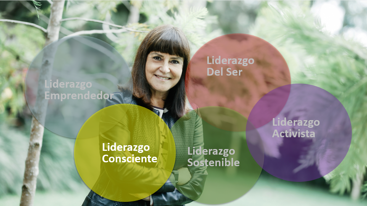 Las 5 esferas del Liderazgo: Liderazgo Consciente - Mariana Rodriguez ...